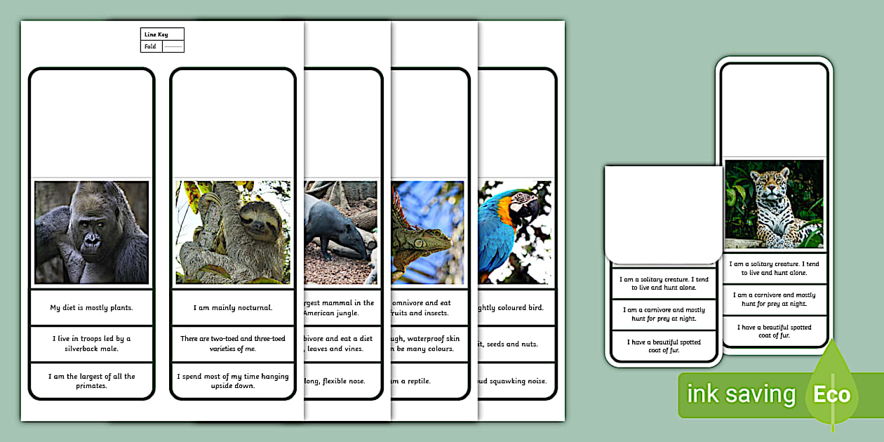 Who Am I? Guess the Rainforest Animal Game (teacher made)