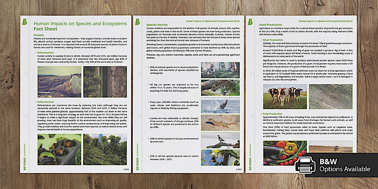 Human Impacts on Species and Ecosystems Fact Sheet - Twinkl
