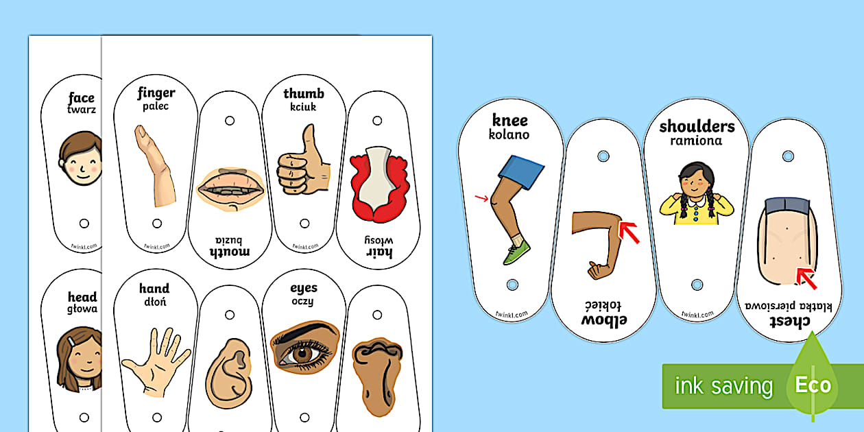 Parts of the Body Communication Fan English/Polish - Twinkl