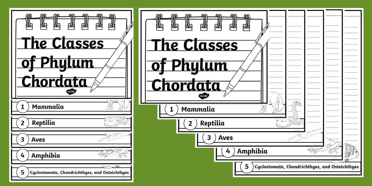 The Classes of Phylum Chordata Note-Taking Flipbook for 6th-8th Grade