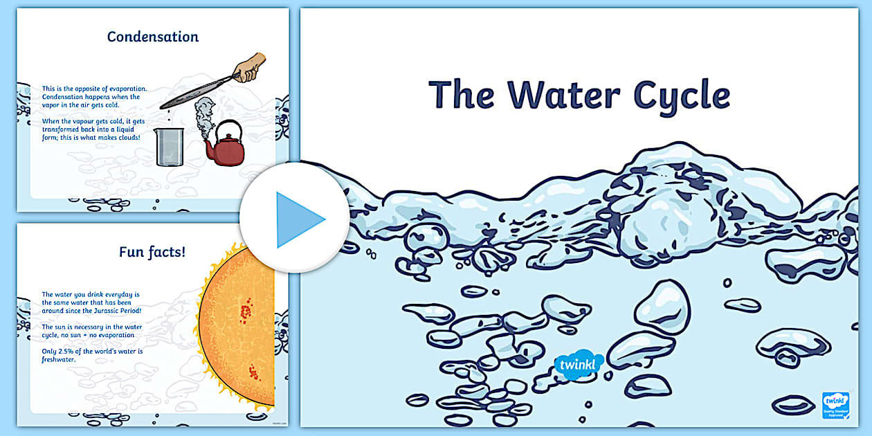 Facts About The Water Cycle PowerPoint KS2 Primary Resources