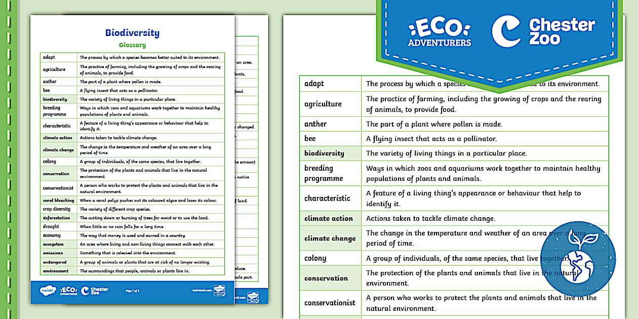 FREE! - Year 6 Biodiversity: Key Vocabulary Glossary