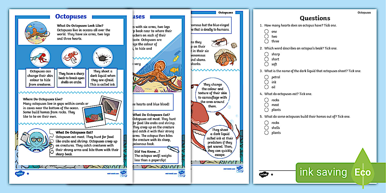 Octopus Differentiated Reading Comprehension Ages 5-7