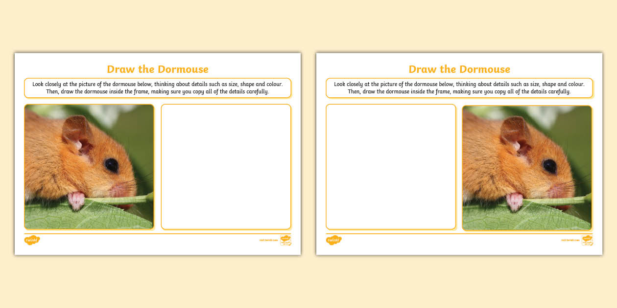Draw the Dormouse Worksheet - Twinkl Art - Twinkl