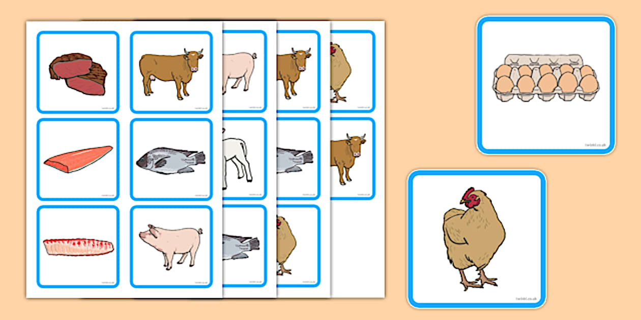 Animals and Their Produce Matching Cards (teacher made)