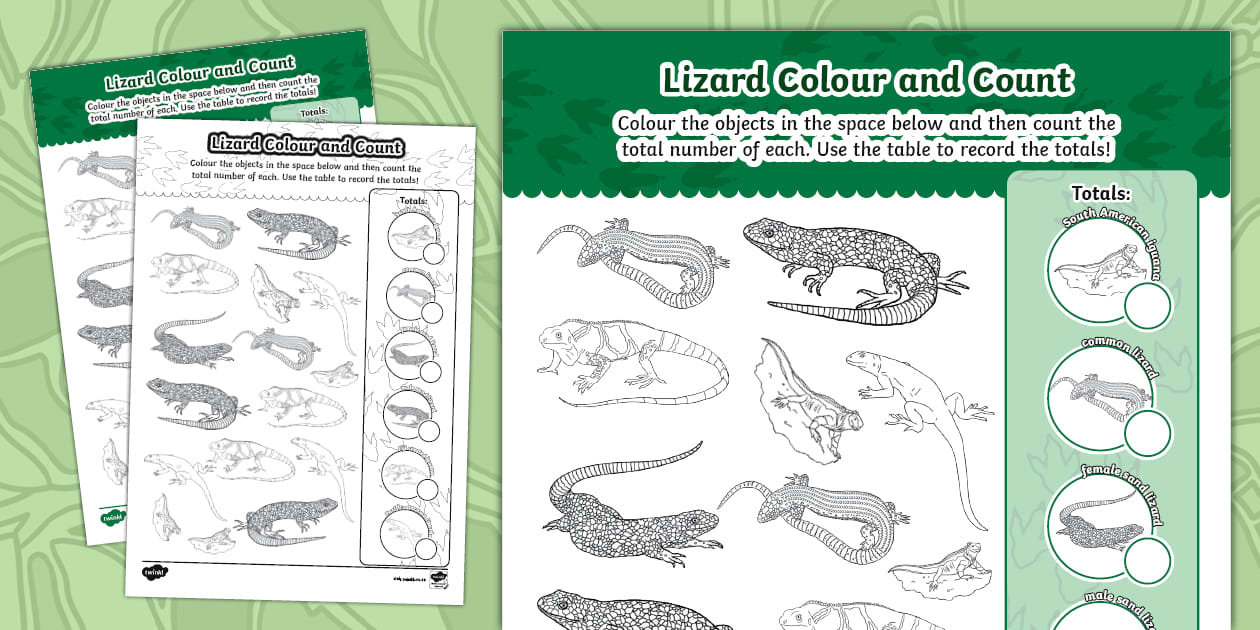 Grade R - Lizards Colour and Count Worksheet (CAPS Aligned)