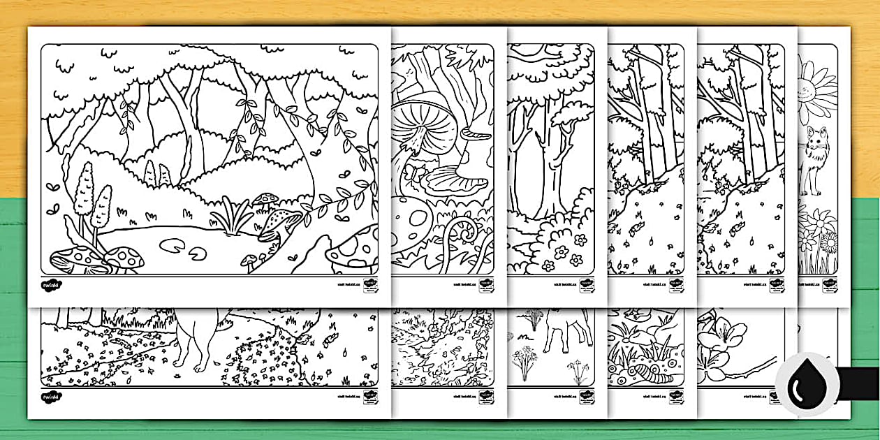 Spring Mindfulness Colouring | Twinkl (teacher made)