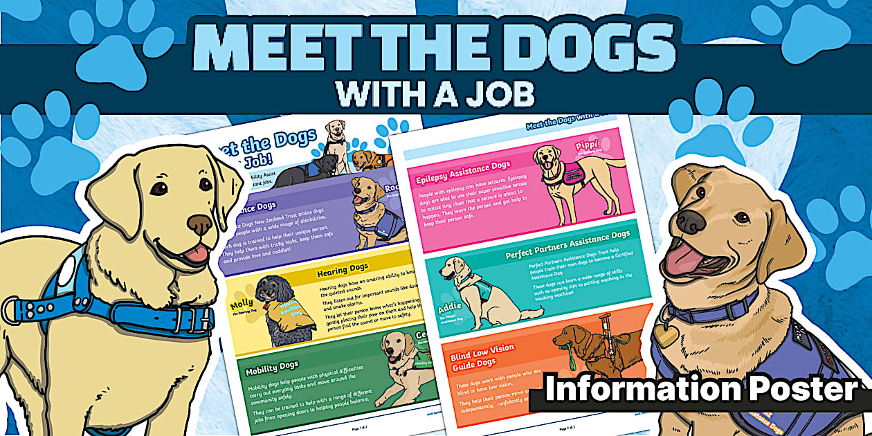 Meet the Dogs with a Job!