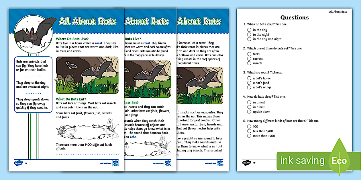 Lower Ability KS1 Bats Reading Comprehension Activity