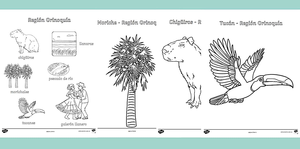 Dibujos de la región Orinoquía - Twinkl Colombia - Twinkl