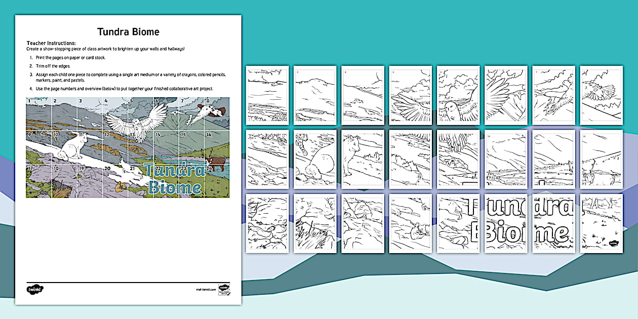 Tundra Biome Collaborative Art Pack (teacher made) - Twinkl