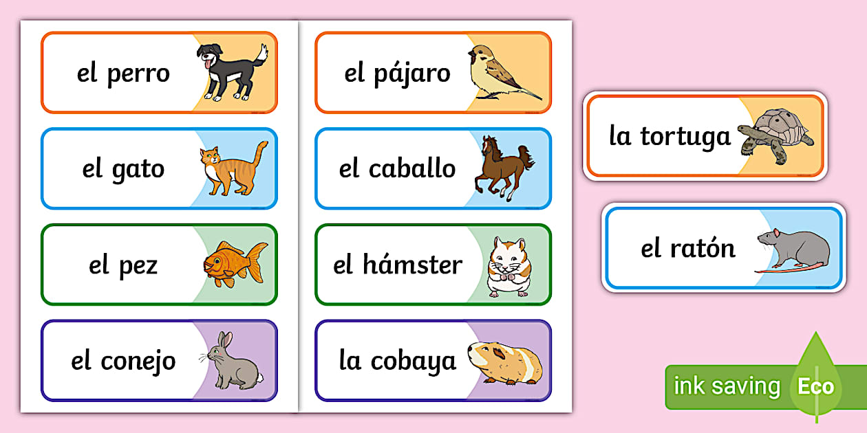 Pet Animals in Spanish - Pets Word Cards - Spanish - Twinkl