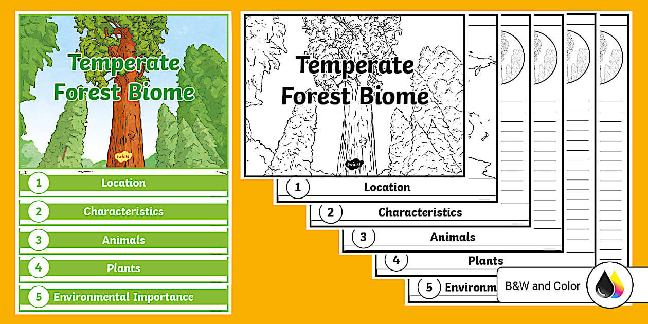 Temperate Forest Biome Flipbook for 3rd-5th Grade - Twinkl