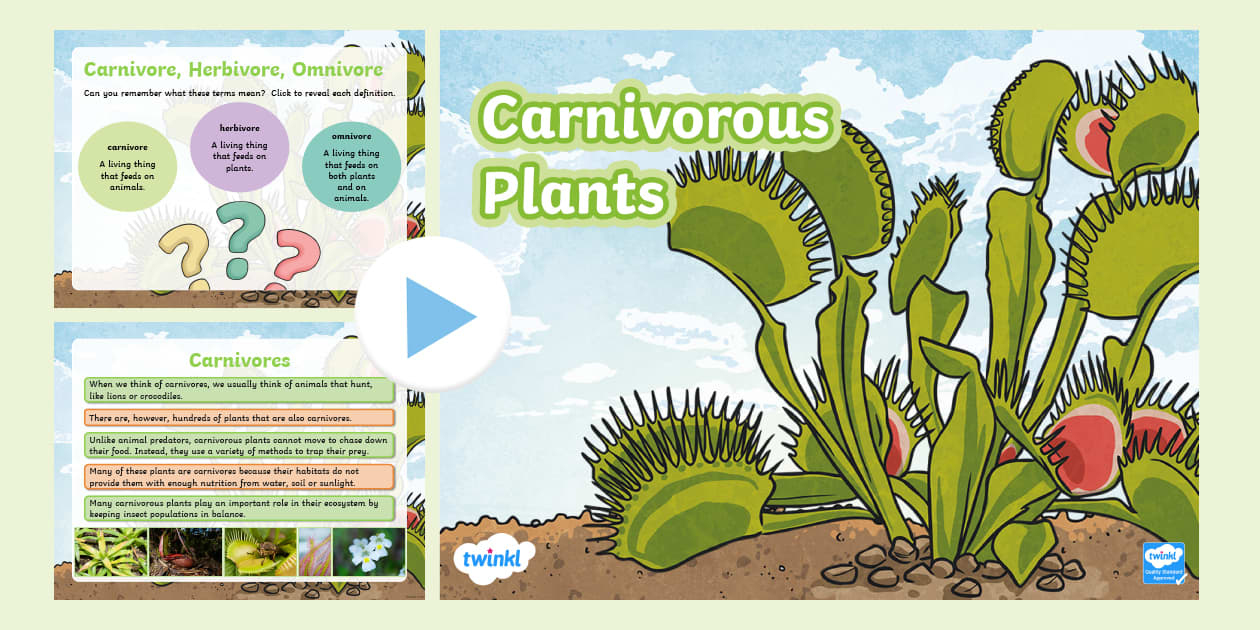 Carnivorous Plants KS2 PowerPoint - twinkl - science