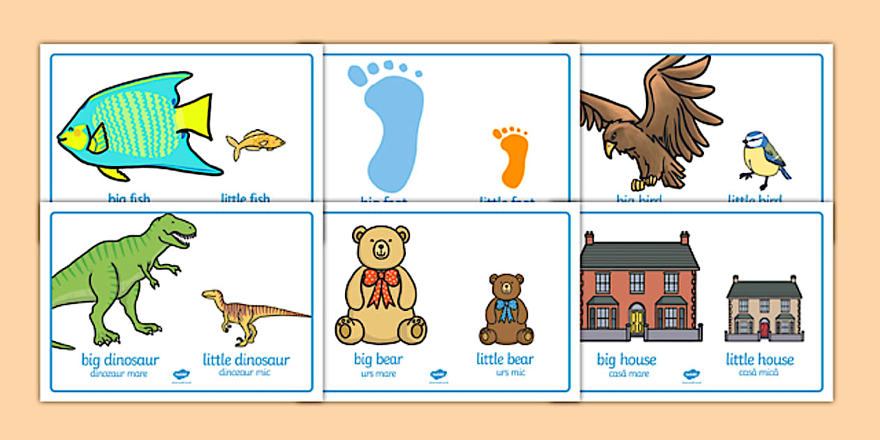 Big And Little Comparison Display Posters Romanian - Twinkl