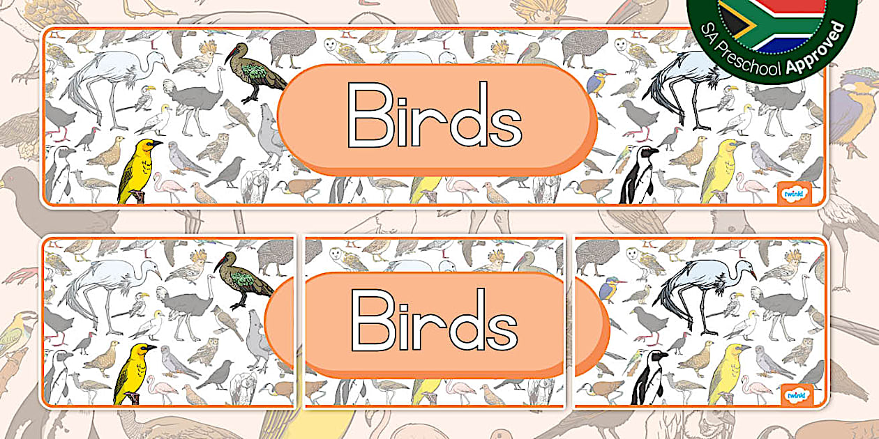 Preschool: Birds - Display Banner