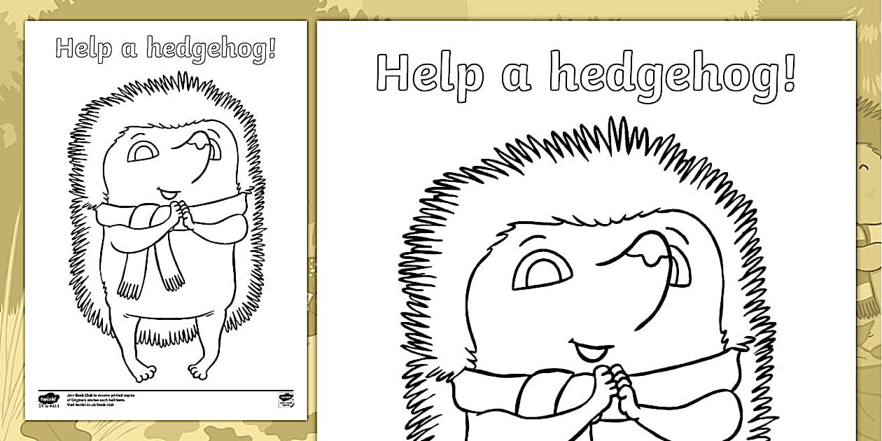 Help a Hedgehog | Poster Colouring Activity | Twinkl