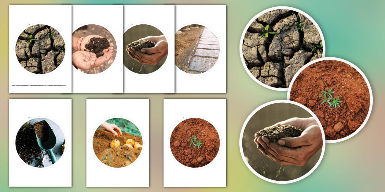 Soil Circle Display Photo Cut-Outs (teacher made) - Twinkl