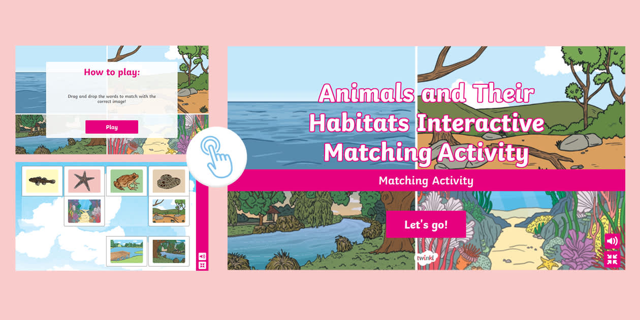 Animals and Their Habitats Interactive Matching Activity