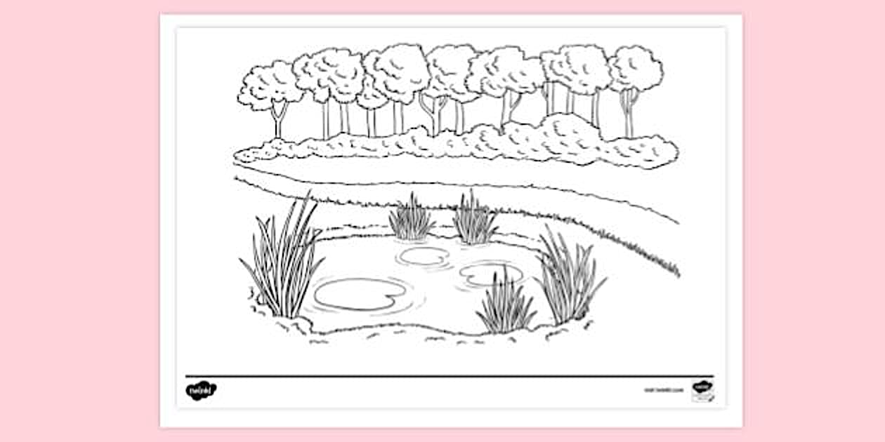 Path Colouring | Colouring Sheets (Teacher-Made) - Twinkl