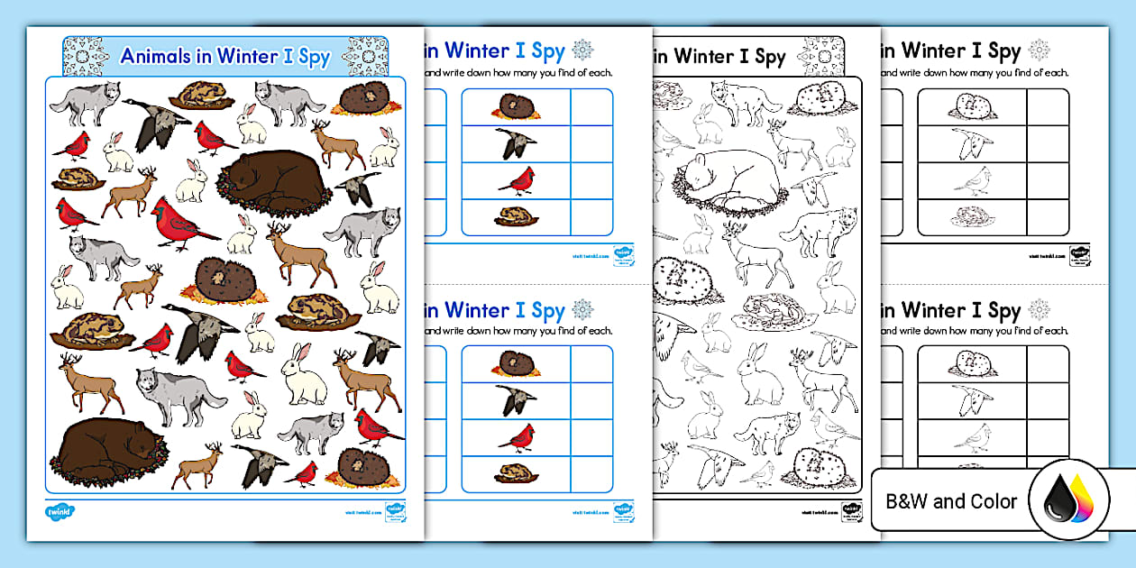 Animals in Winter I Spy Activity