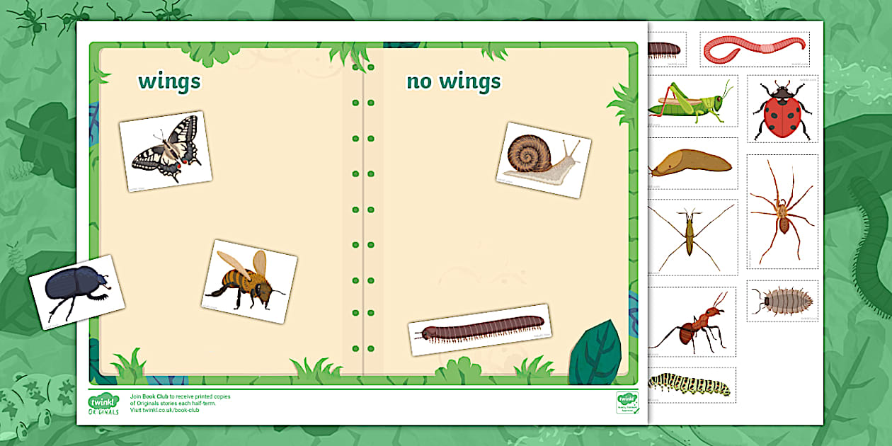 Minibeasts Wings or No Wings? Sorting Activity - Twinkl