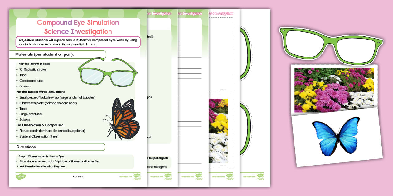 Compound Eye Simulation Science Investigation for K-2nd Grade