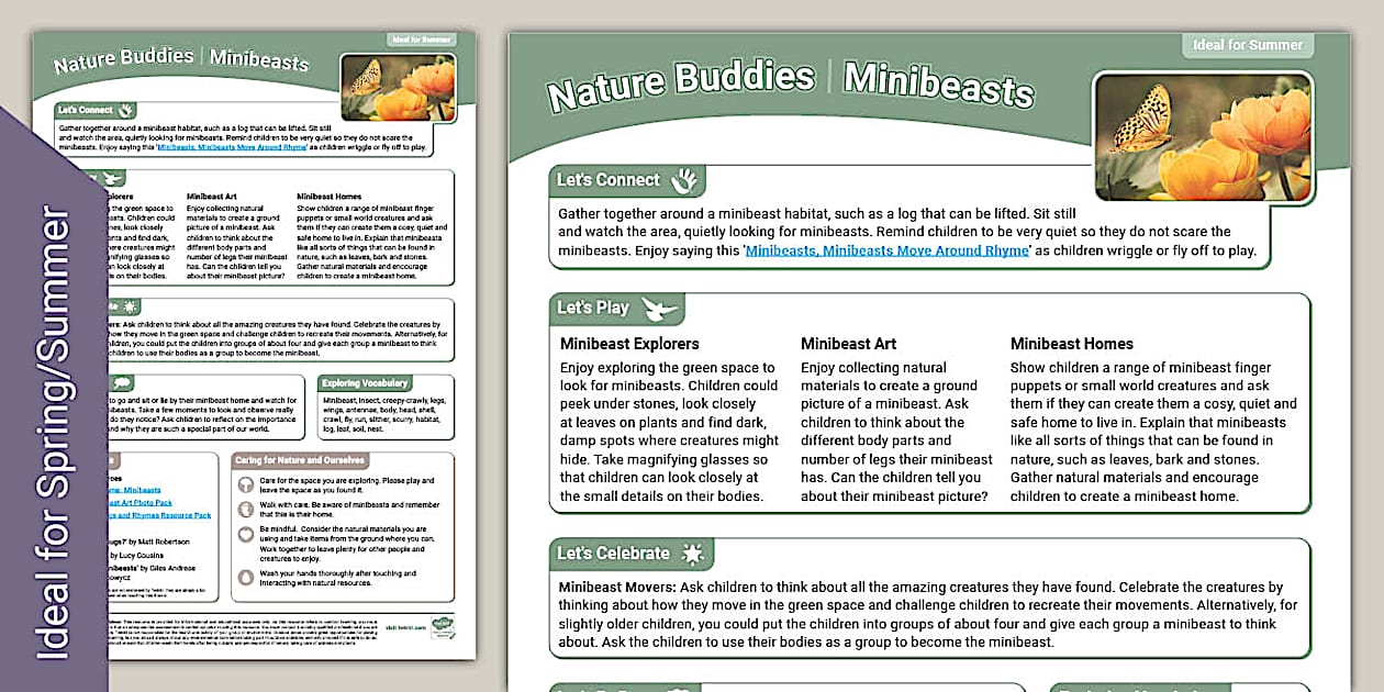 EYFS Nature Buddies Outdoor Learning: Minibeasts | Twinkl