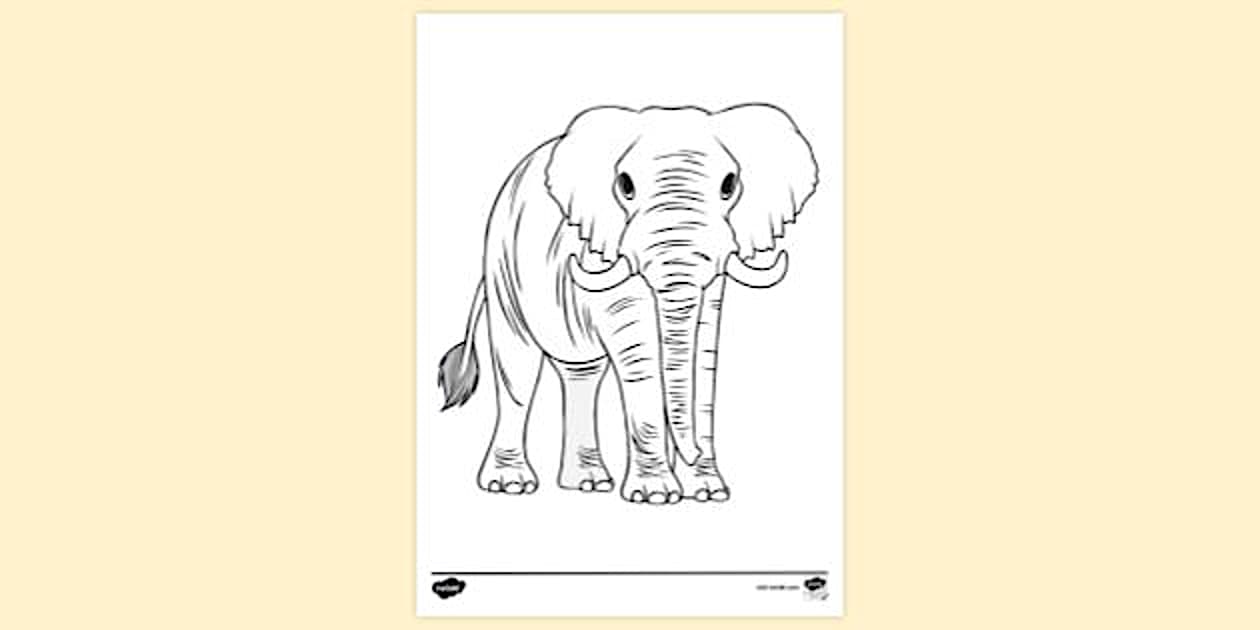Elephant Colouring | Colouring Sheets (Hecho por educadores)