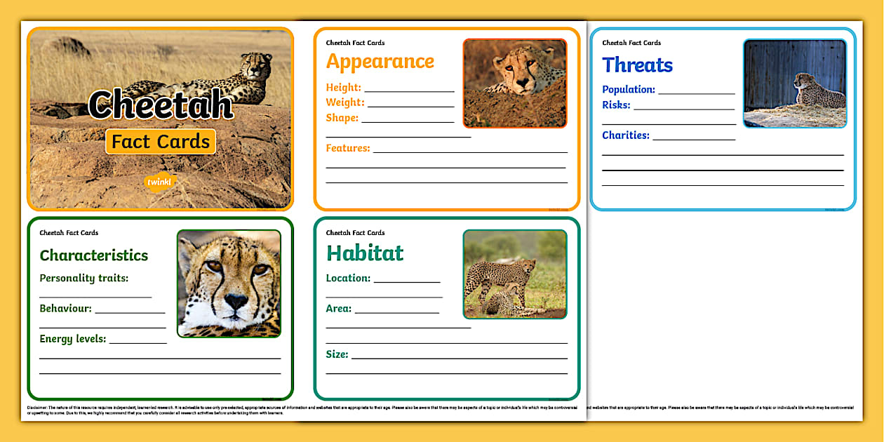 Cheetah Fact Cards Template - Twinkl Animals - Twinkl