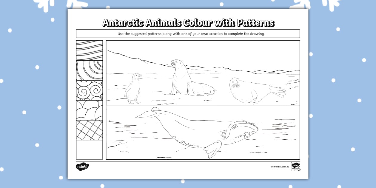 Antarctic Animals Colour with Patterns Activity - Twinkl