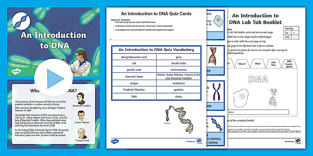 An Introduction to DNA Resource Pack (teacher made) - Twinkl