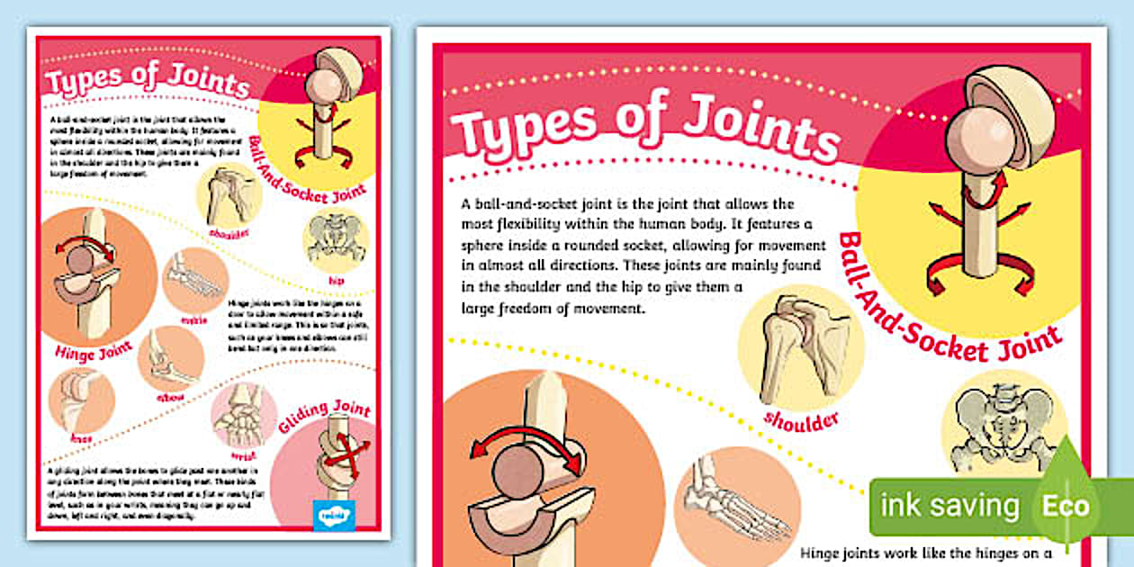 Type of Joints Poster (teacher made) - Twinkl