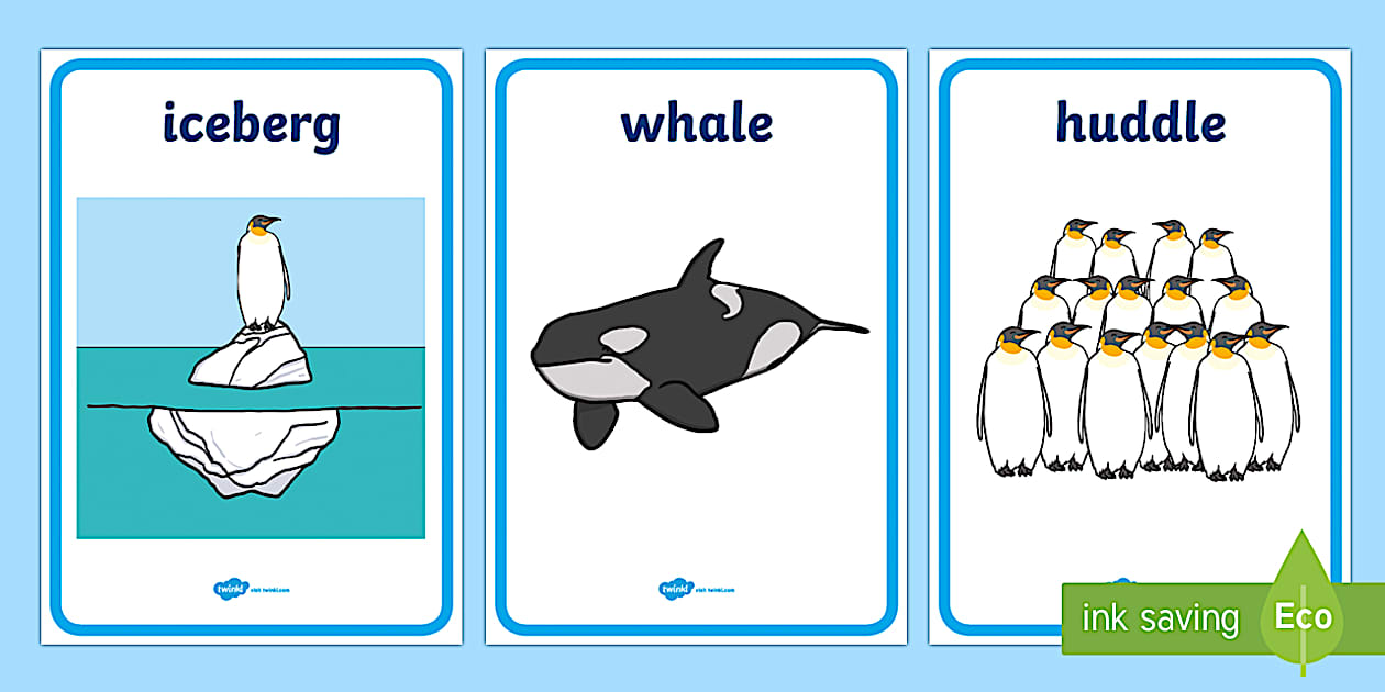 Penguin Movement Cards (teacher made) - Twinkl