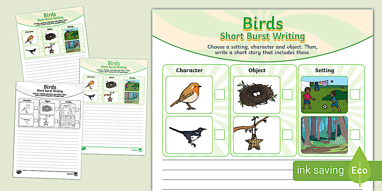 Birds Short Burst Writing Template (Teacher-Made) - Twinkl