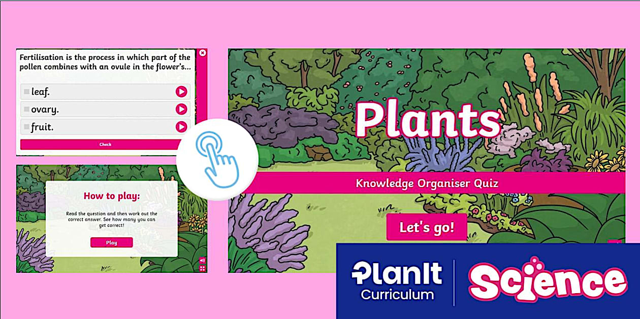 Y3 Plants: Interactive Knowledge Organiser Quiz - Twinkl