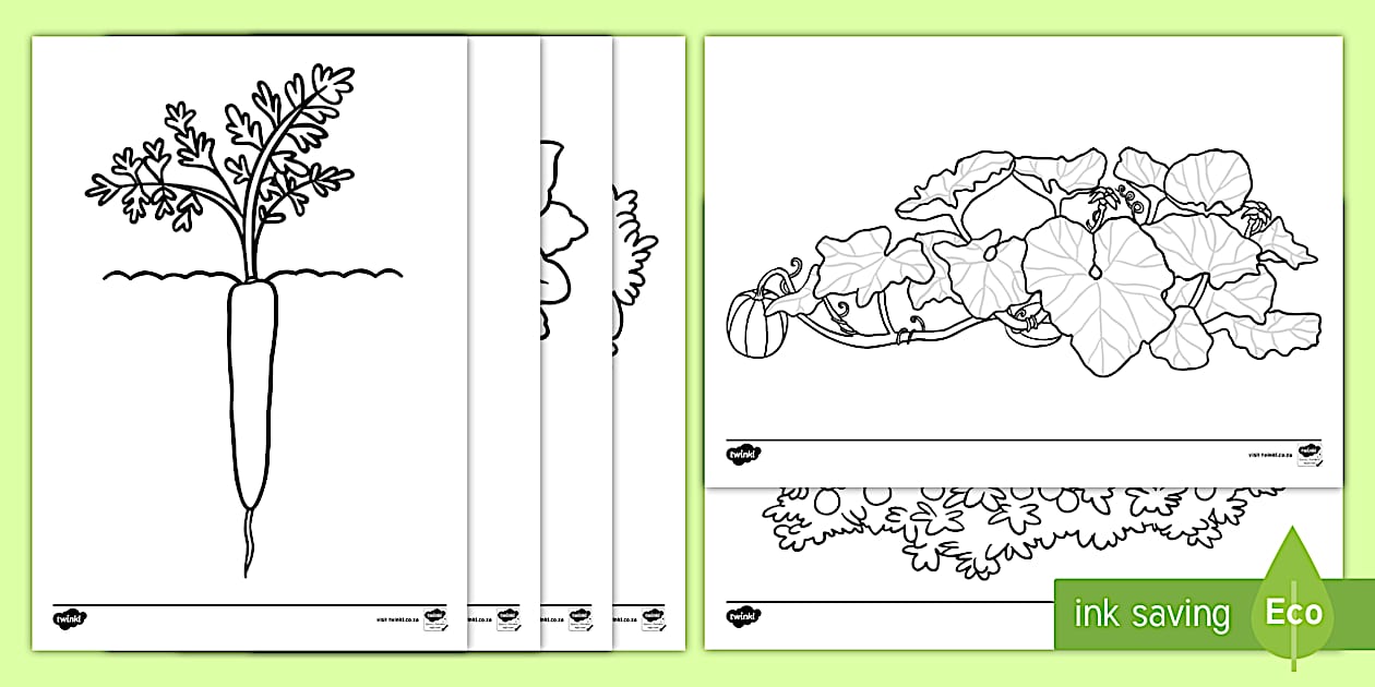 Where Does It Grow? Coloring Pages (Teacher-Made) - Twinkl