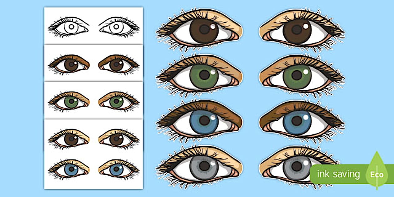 Eyes Display Cut-Outs | Printable Eyeballs (teacher made)