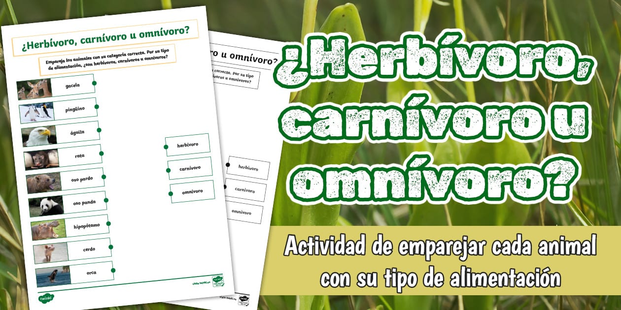 Ficha de actividad: Emparejar animales