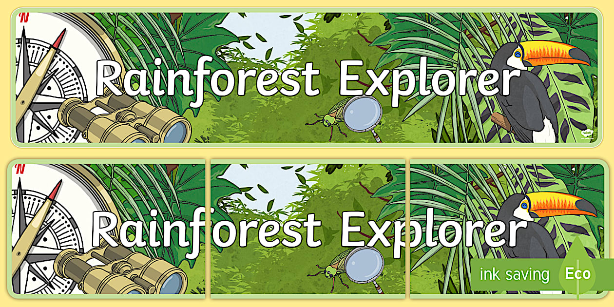Rainforest Explorer Role Play Display Banner - Twinkl