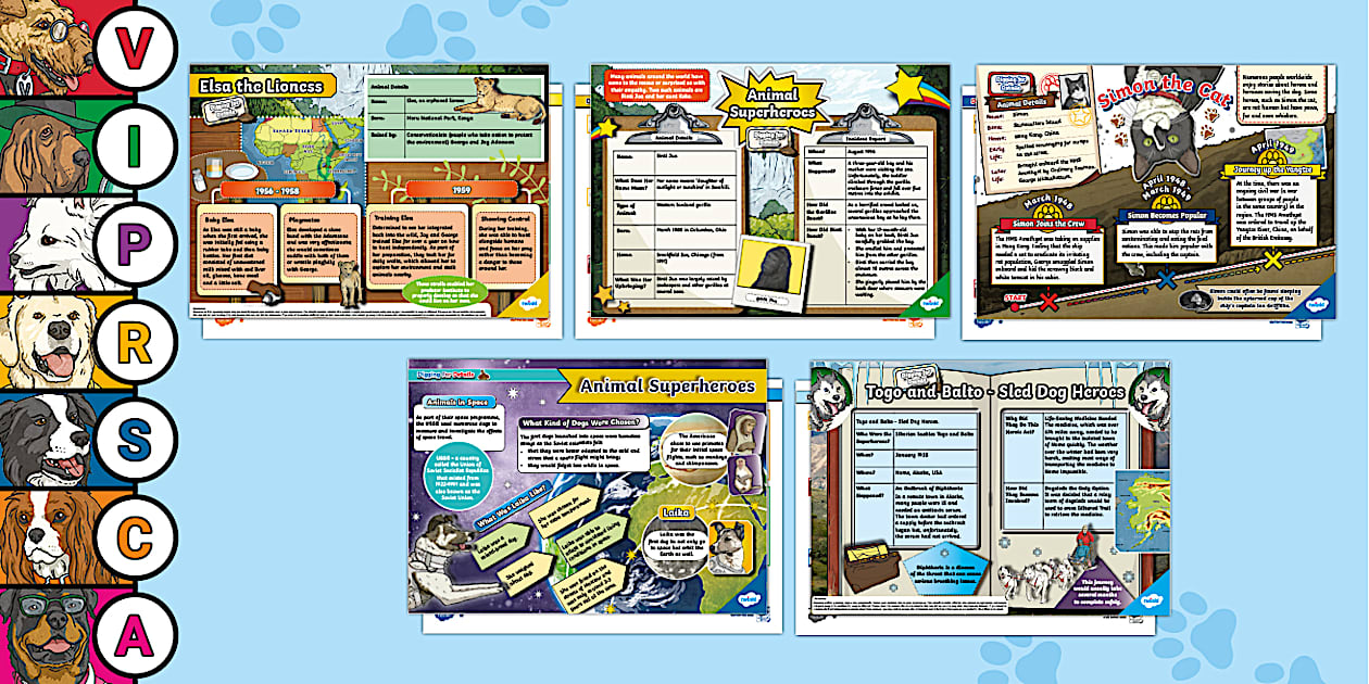 UKS2 Digging for Details: Animal Superheroes Infographic