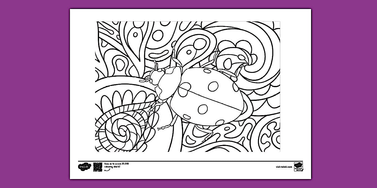 Ladybird Mindfulness Colouring Page (Teacher-Made) - Twinkl