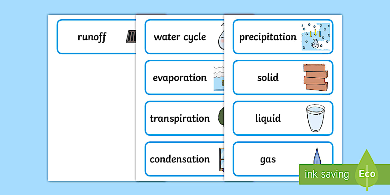 Editable Australian Water Cycle Word Cards - Twinkl