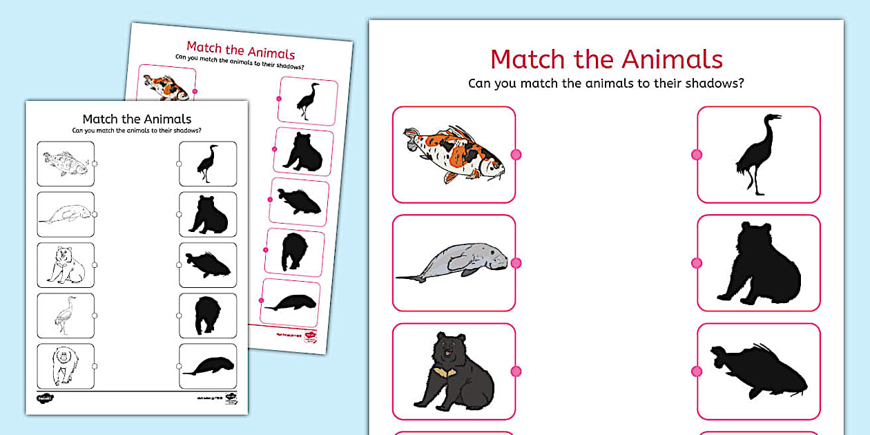 Animals Shadow Matching Worksheet - Twinkl