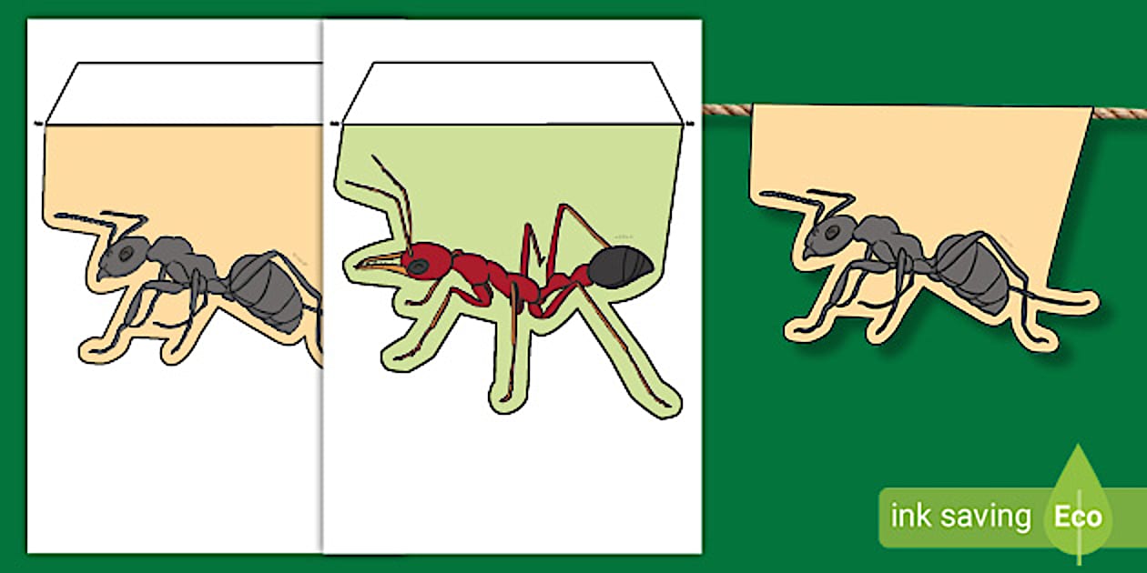Minibeasts Ant Bunting | Themed Display Bunting - Twinkl