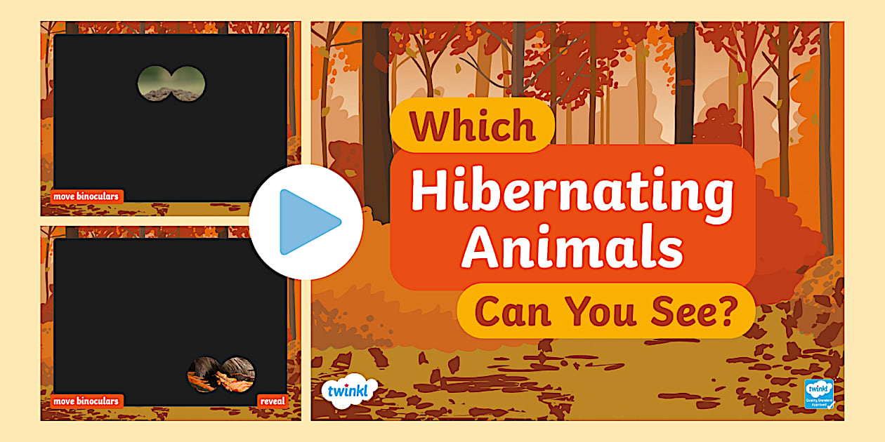 Which Hibernating Animals Can You See? PowerPoint ELC