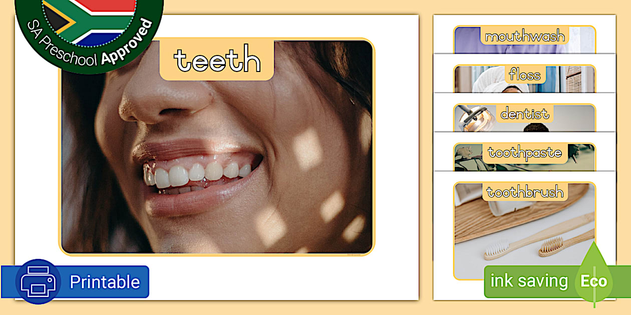 Teeth and The Dentist Display Photos - Twinkl South Africa