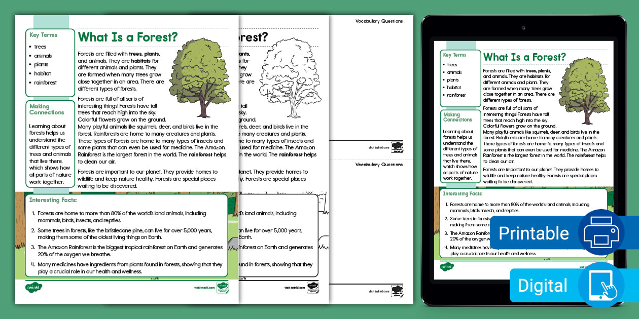 Second Grade What Is a Forest? Fact File and Vocabulary