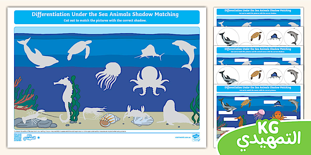 Differentiation Under the Sea Animals Shadow Matching