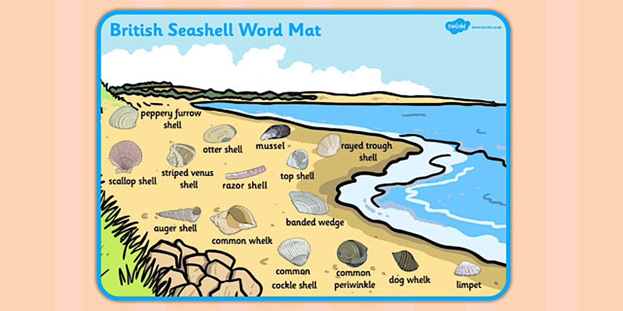 Editable British Seashell Scene Word Mat (teacher made)